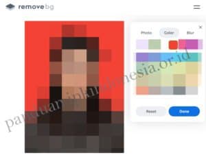 Cara Mengatasi Masalah Gagal Unggah Pas Photo di Satu Sehat SDMK ...